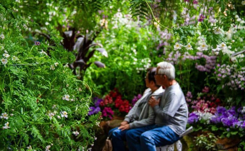 Melbourne Magic: City Highlights and Penguin Parade Tour - Evening Dinner and Return Journey