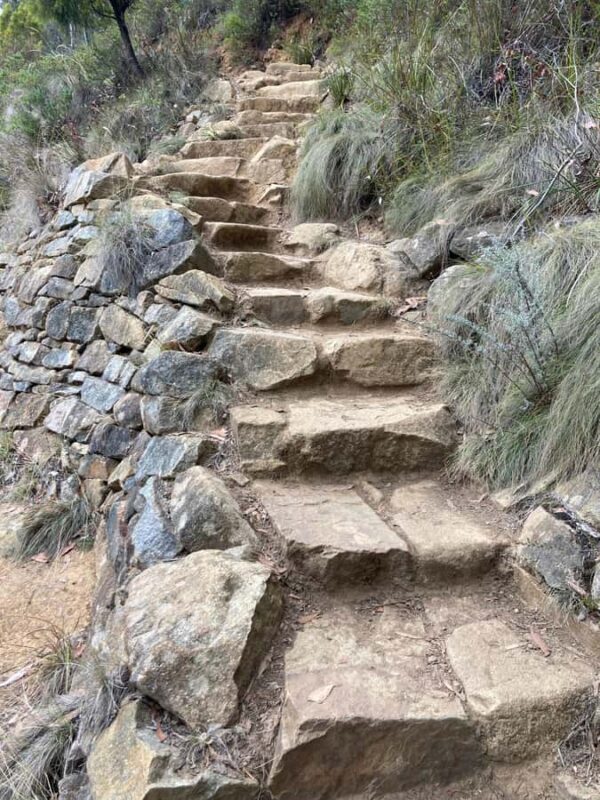 Melbourne: Marysville Day Trip with Healesville Sanctuary - A Close Look at the Itinerary