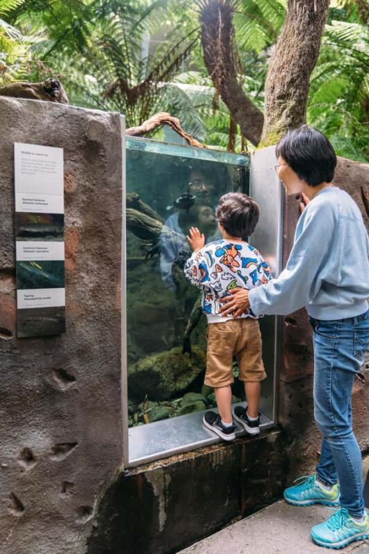 Melbourne: Melbourne Museum Entry Ticket - Who Should Visit?