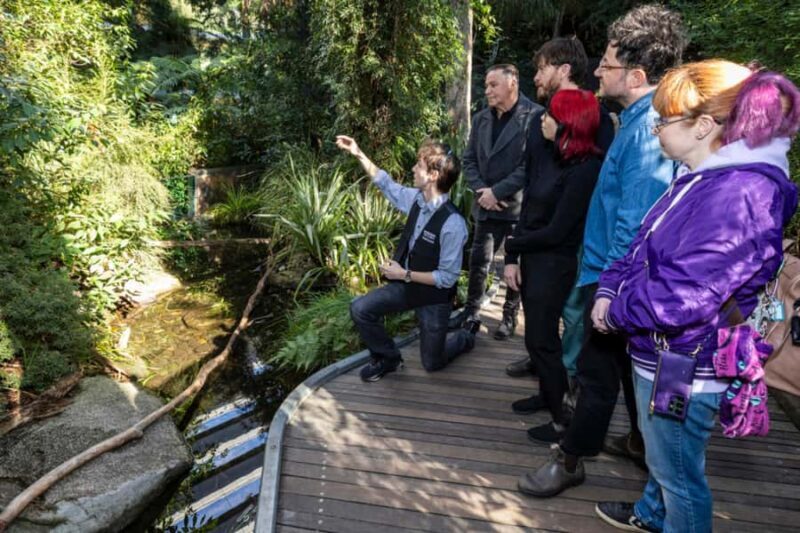Melbourne: Melbourne Museum Guided Tour with Entry Ticket - An In-Depth Look at the Melbourne Museum Guided Tour