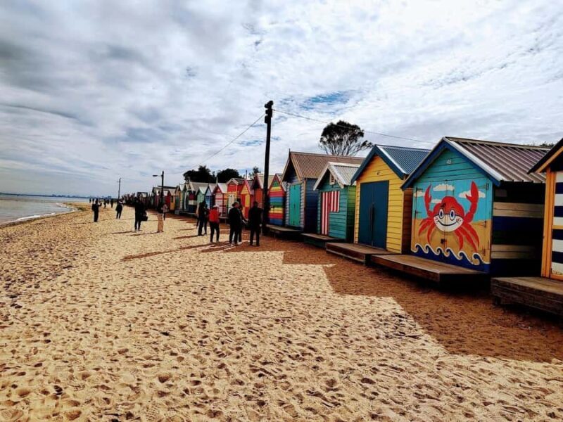 Melbourne: Moonlit Sanctuary and Brighton Beach Boxes Tour - What to Expect Practically