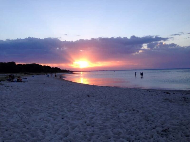 Melbourne: Mornington Peninsula and Moonlit Sanctuary Tour - The Itinerary: What You Can Expect