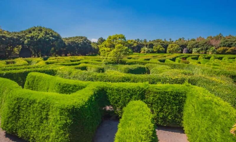 Melbourne: Mornington Peninsula and Moonlit Sanctuary Tour - The Sum Up