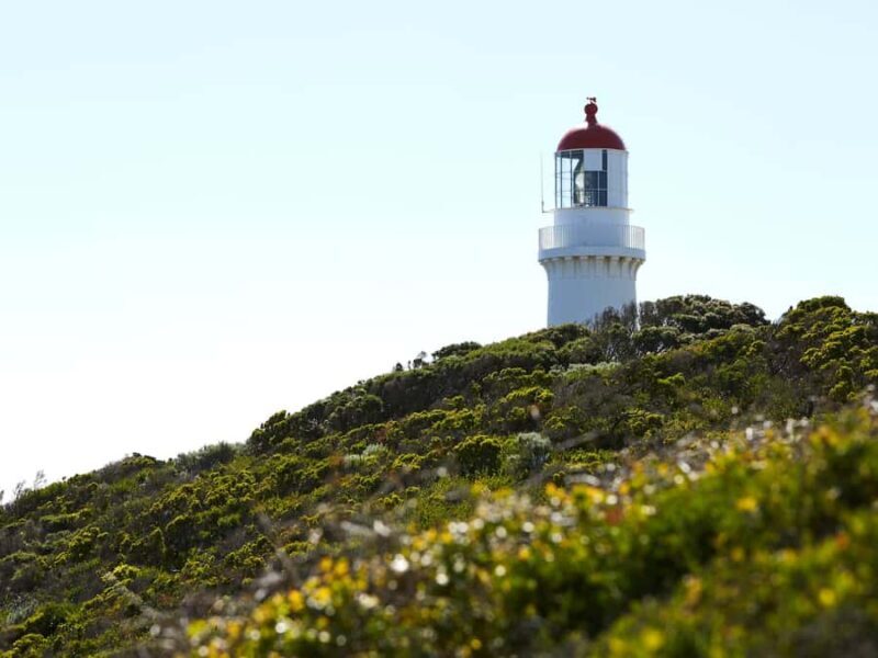 Melbourne: Mornington Peninsula Day Trip - Practical Details and Tips