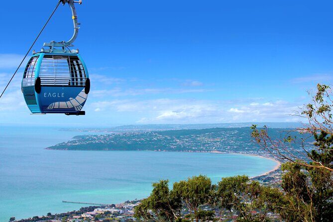 Melbourne Mornington Peninsula Private Tour include Tickets - Key Points