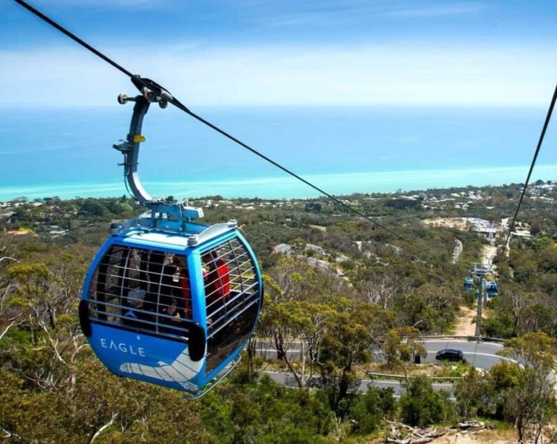 Melbourne: Mornington Peninsula Private Trip include tickets - Practical Details and What to Expect