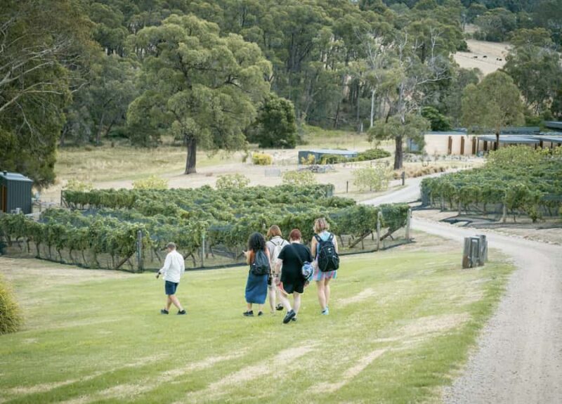 Melbourne: Mornington Peninsula Wine Tour with Lunch - Who Should Consider This Tour?