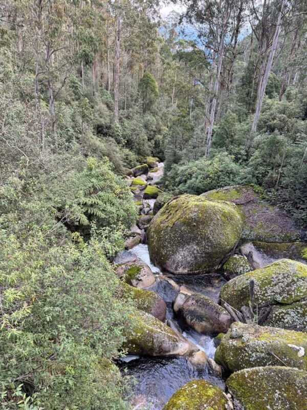 Melbourne: Mount Baw Baw Private Snow Tour with Guide - The Return Journey and Final Moments