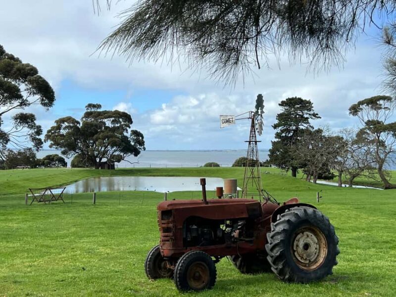 Melbourne: Penguin Parade & Churchill Island Farm Tour - Frequently Asked Questions