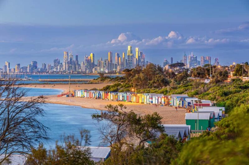 Melbourne: Penguin Parade , Koala & Brighton Bathing Boxes - Exploring the Highlights in Detail