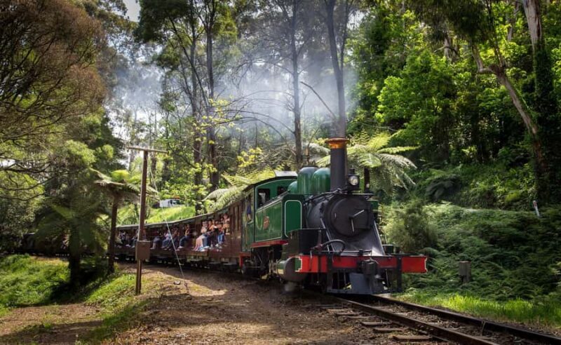 Melbourne: Penguin Parade Tour with Puffing Billy Train Ride - The Experience in Detail