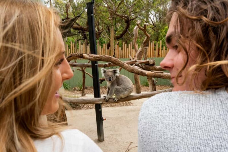 Melbourne: Peninsula Nature Private Day Trip with Dinner - Key Points