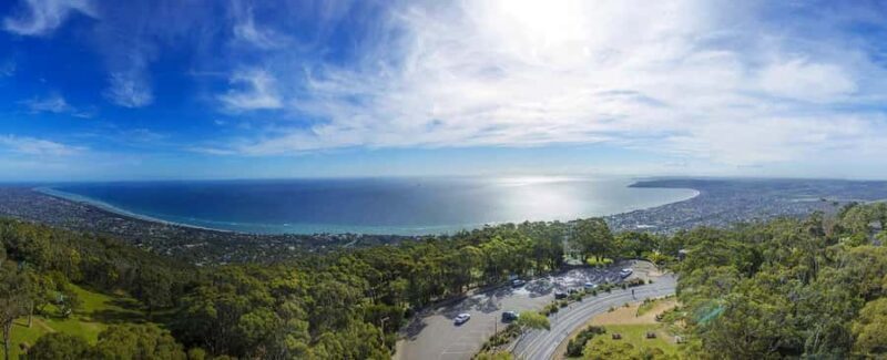 Melbourne: Peninsula Sightseeing Driving Day Tour - Melbourne: Peninsula Sightseeing Driving Day Tour Review