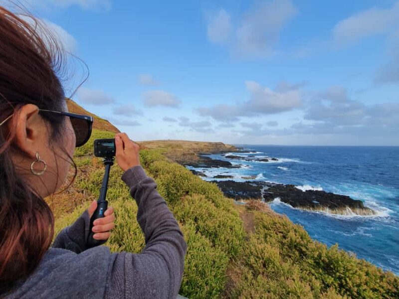 Melbourne: Phillip Island Penguins, Koalas & Hike Tour - Key Points