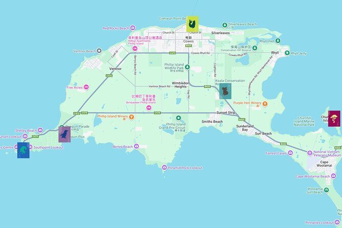 Melbourne Phillip Island Private Tour: Penguin Parade & Wildlife - Starting with Comfort: Private Pickup and Travel