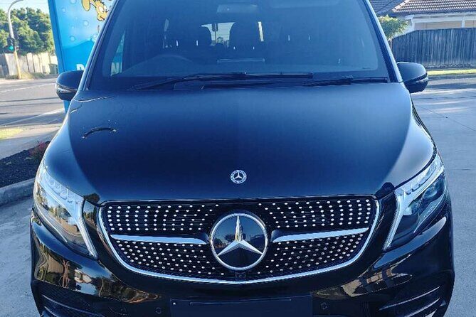 Melbourne Phillip Island Private Tour: Penguin Parade & Wildlife - The Penguin Parade: A Nighttime Spectacle