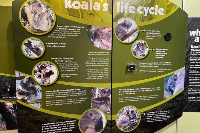 Melbourne Phillip Island Private Tour: Penguin Parade & Wildlife - Final Stop: Nobby’s Head & The Breakwall