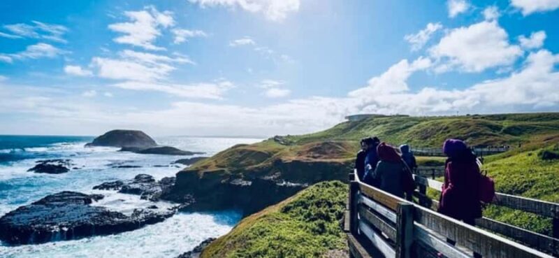 Melbourne: Phillip Island Private Tour with Penguin Parade - Key Points