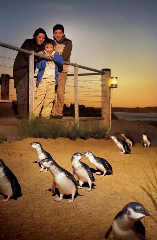 Melbourne: Phillip Island Private Tour with Penguin Parade - FAQs
