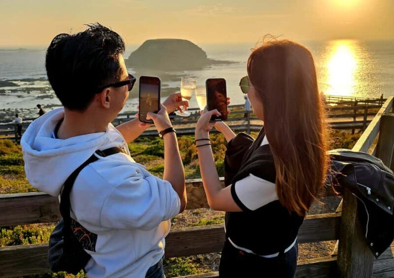 Melbourne: Phillip Island Tour w/ Hop-on Bus or Seal Cruise - In-Depth Review of the Phillip Island Tour