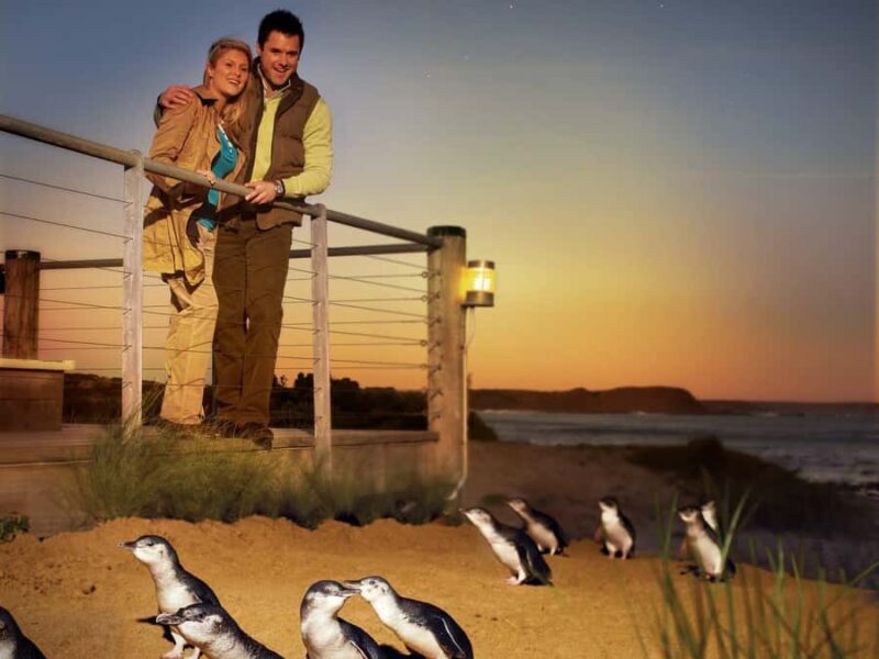 Melbourne: Phillip Island Tour with Koalas & Penguins - Key Points