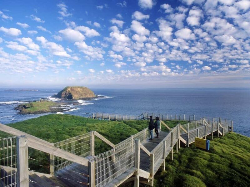 Melbourne: Phillip Island Tour with Koalas & Penguins - A Deep Dive into the Phillip Island Tour Experience