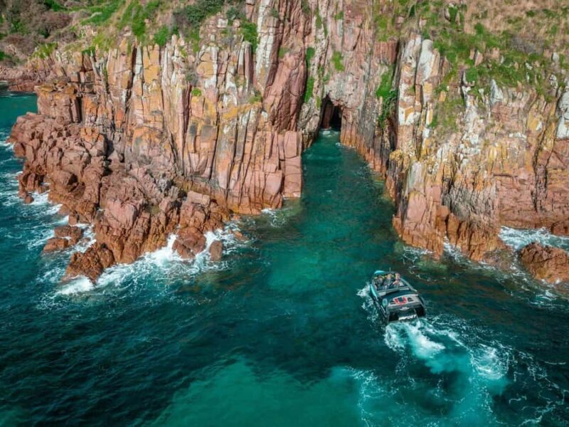 Melbourne: Phillip Island Tour with Koalas & Penguins - Who Will Love This Tour?