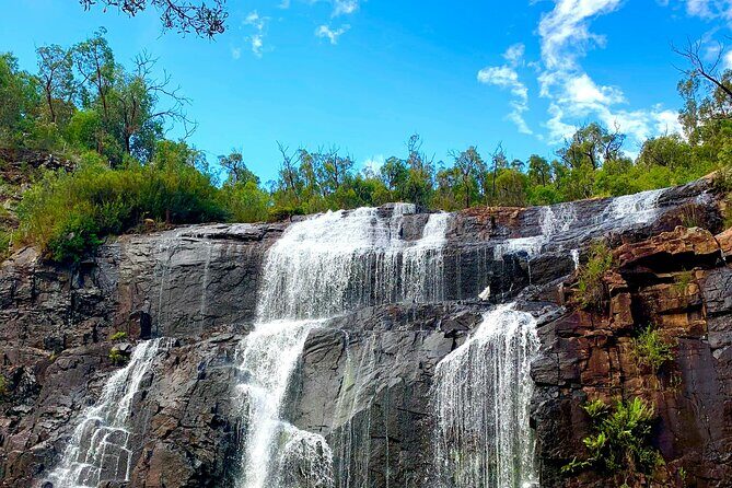 Melbourne: Private Grampian National Park Tours - Key Points