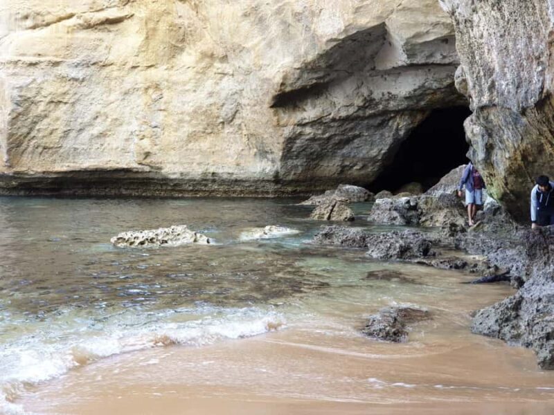 Melbourne: Private Great Ocean Road & 12 Apostles Tours - Final Thoughts