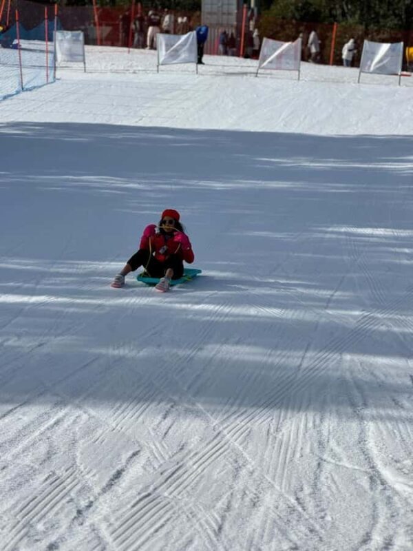 Melbourne: Private Lake Mountain Snow & Redwood Forest Tours - Discovering the Charm of Melbourne’s Surroundings: A Review of the Private Lake Mountain Snow & Redwood Forest Tour