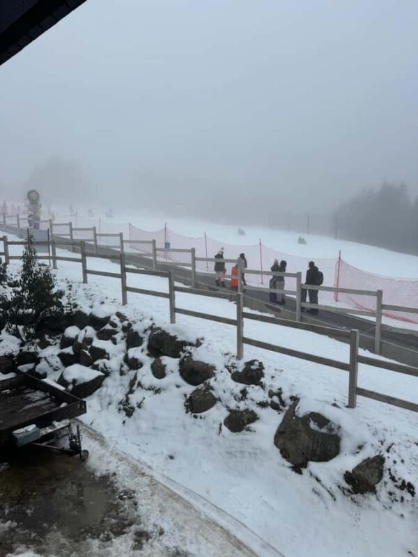 Melbourne: Private Lake Mountain Snow & Redwood Forest Tours - What Makes This Tour Stand Out