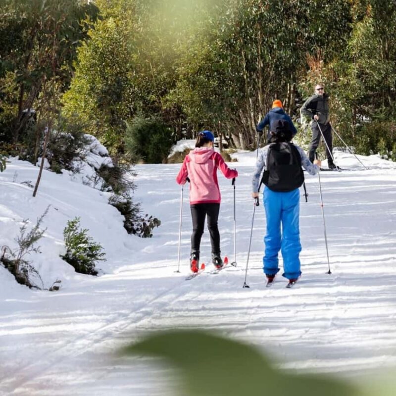 Melbourne: Private Lake Mountain Snow & Redwood Forest Tours - Practicalities: What to Know Before You Go