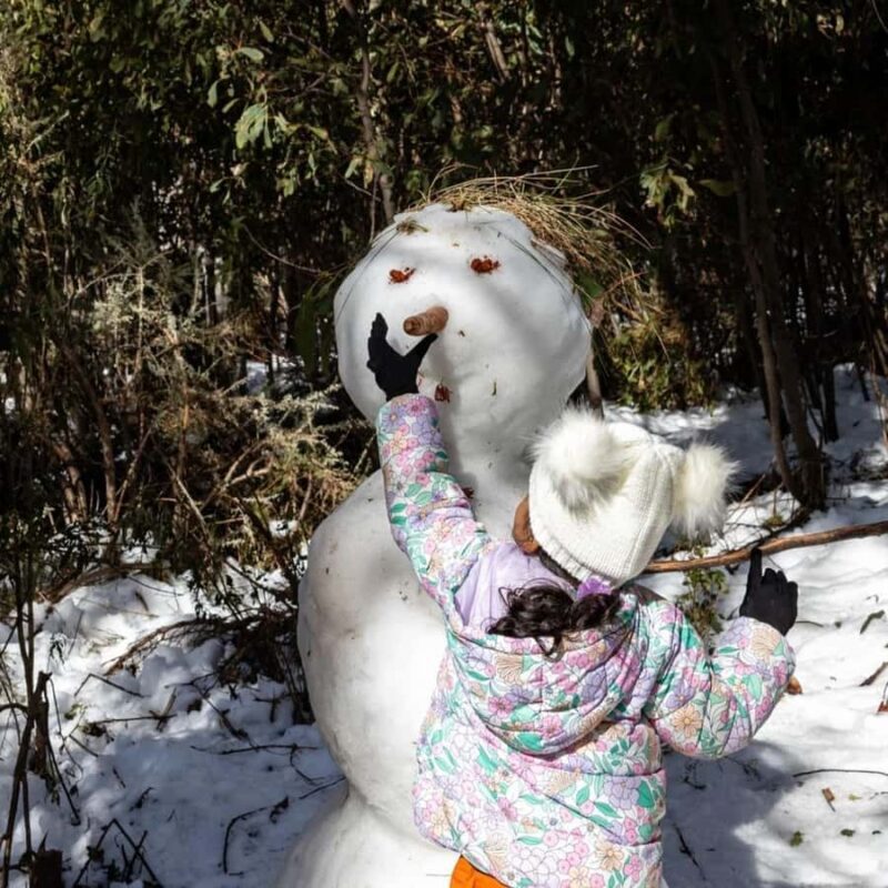 Melbourne: Private Lake Mountain Snow & Redwood Forest Tours - The Sum Up