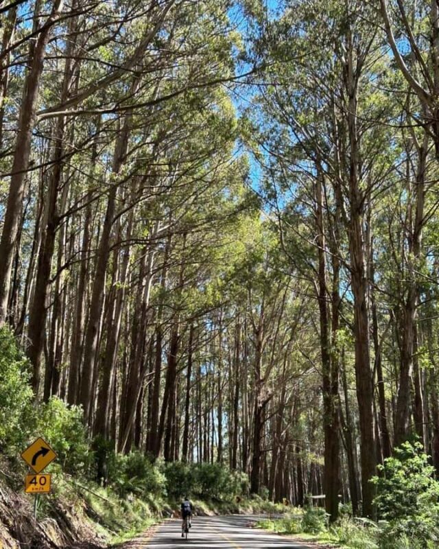 Melbourne: Private Lake Mountain Snow & Redwood Forest Tours - FAQ