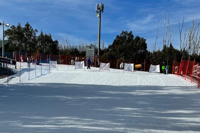 Melbourne: Private Lake Mountain Snow Tours & Redwood Rain Forest - The Practicalities — What You Need to Know