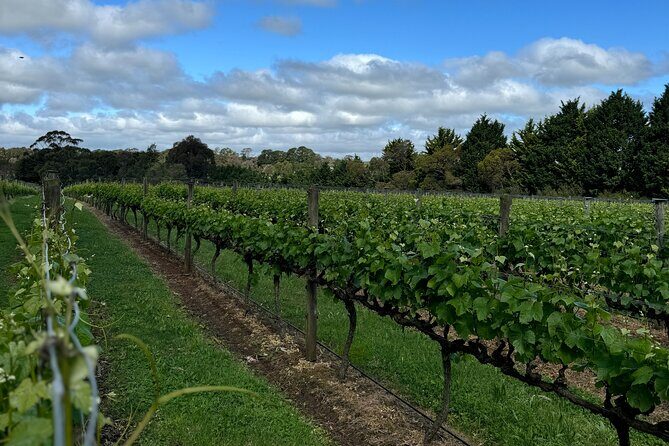 Melbourne: Private Mornington Peninsula & Winery Tours. - The Itinerary: A Day Well Planned