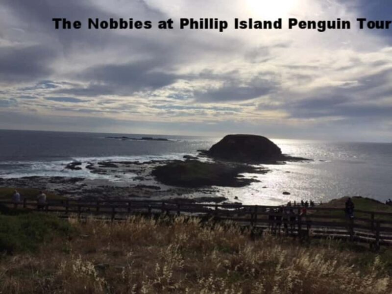 Melbourne: Private Phillip Island Penguin Parade Tour - Key Points