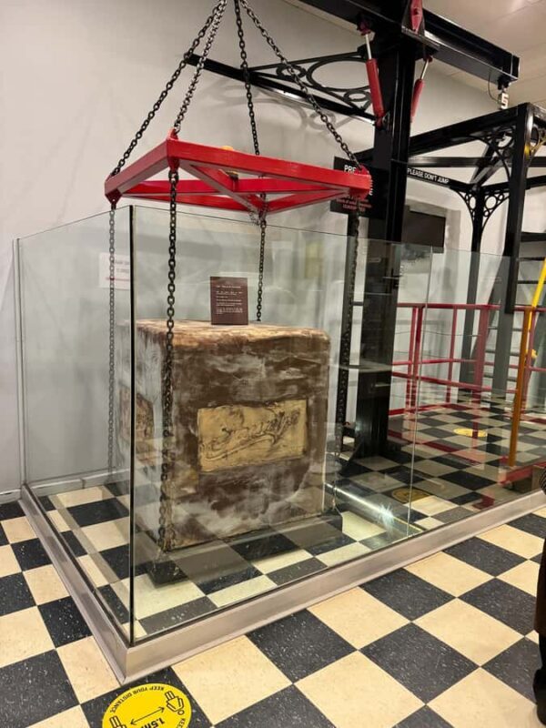 Melbourne: Private Phillip Island Penguin Parade Tours - An Introduction to the Tour