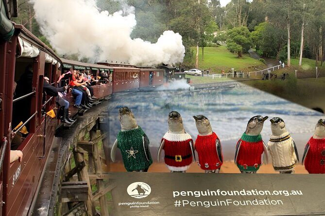 Melbourne: Private Puffing Billy Train & Phillip Island Tours - Melbourne: Private Puffing Billy Train & Phillip Island Tours – An Honest Review