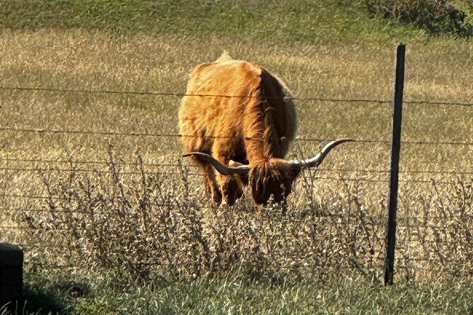 Melbourne: Private Puffing Billy Train & Phillip Island Tours - FAQs