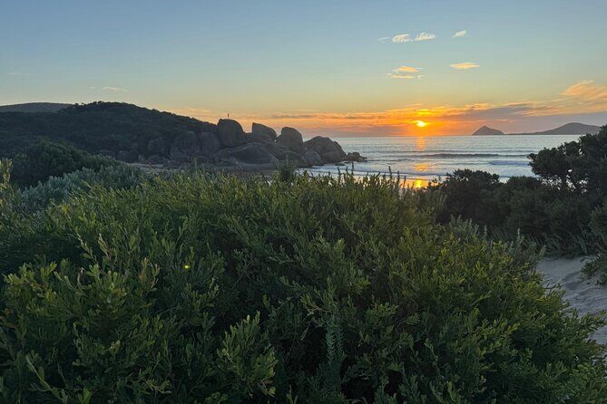 Melbourne: Private Wilson Promontory National Park Day Tours - The Experience in Detail