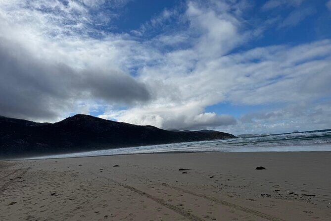Melbourne: Private Wilson Promontory National Park Day Tours - The Sum Up: Is This Tour Worth It?