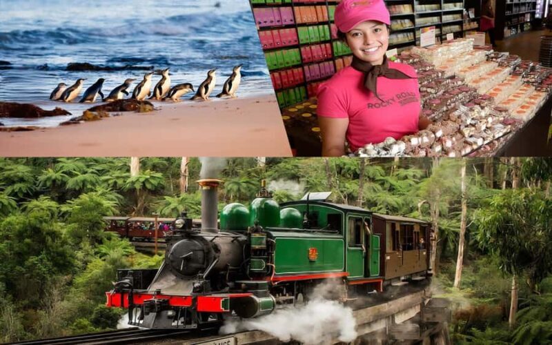 Melbourne Puffing Billy Penguin Yarra Valley Wine choc Tour - Key Points