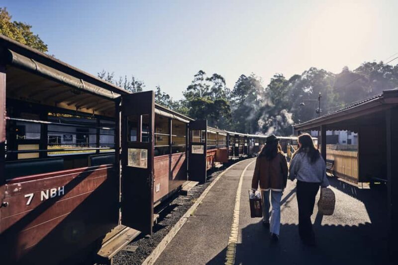 Melbourne: Puffing Billy Railway & Rainforest Tour - Scenic Drive to the Rainforest