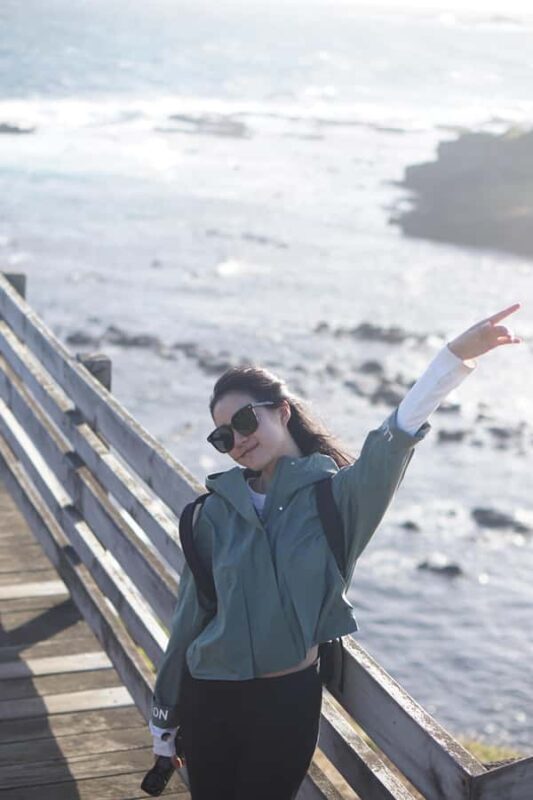 Melbourne: Puffing Billy Train and Penguin Island Day Tour - An Authentic Victorian Scenic Experience