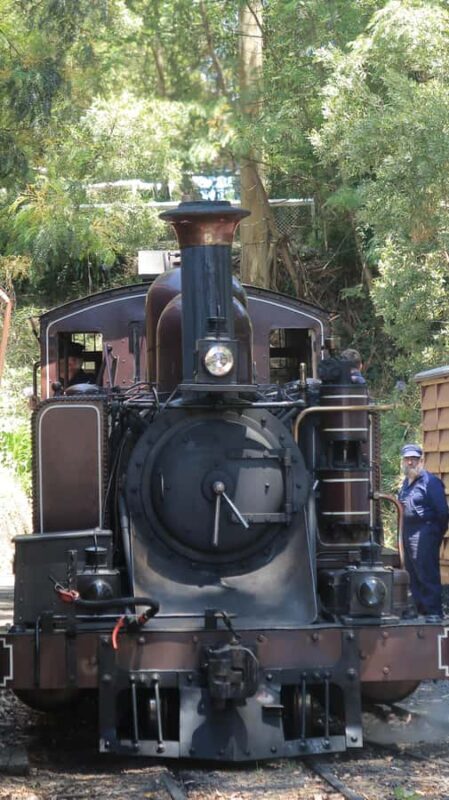 Melbourne: Puffing Billy Train and Penguin Island Day Tour - What’s in the Itinerary?