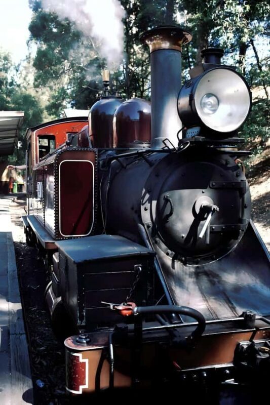 Melbourne: Puffing Billy Train & Healesville & Winery Tour - Authentic Review Insights