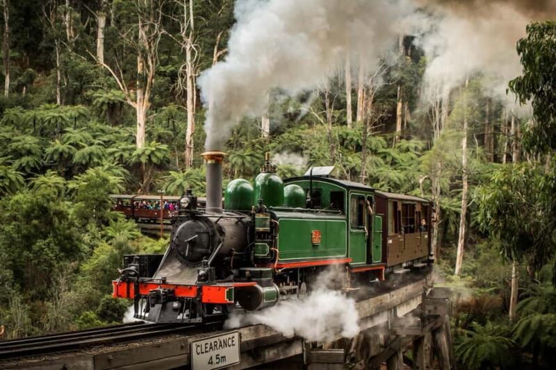 Melbourne: Puffing Billy Train Wildlife Zoo Private Tour - Authentic Experiences from Past Travelers