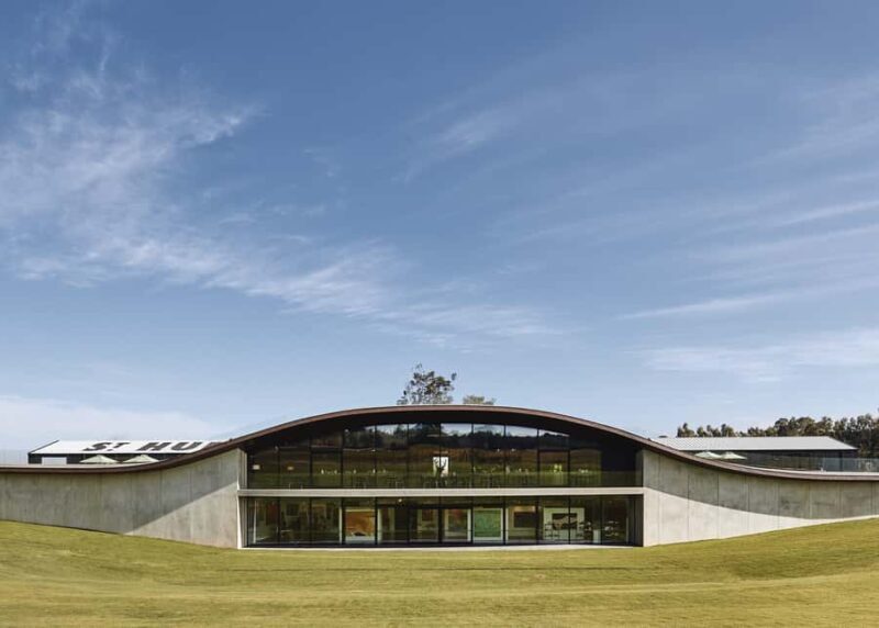 Melbourne: Relaxed Half-Day Yarra Valley Wine Tour - The Experience Through Reviewers’ Eyes
