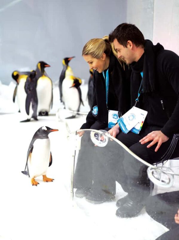 Melbourne: SEA LIFE Aquarium Entrance Ticket - Key Points  